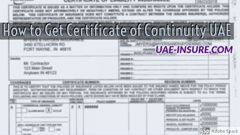 How to Check my Daman Insurance cards UAE Insure